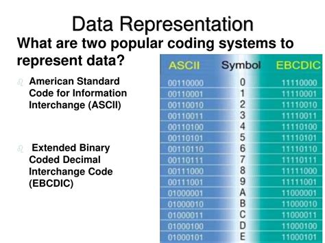 ppt data representation in computer system powerpoint presentation id 6449383