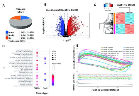 Treatment With Dac51 Sculpts The Transcriptome Of ULMS Cells A