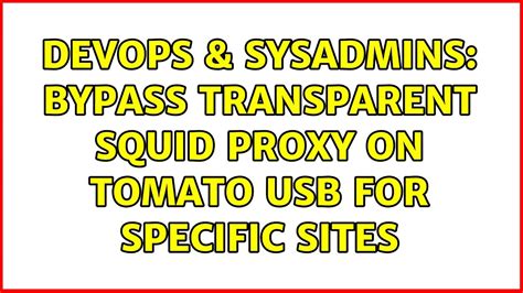 DevOps SysAdmins Bypass Transparent Squid Proxy On Tomato USB For