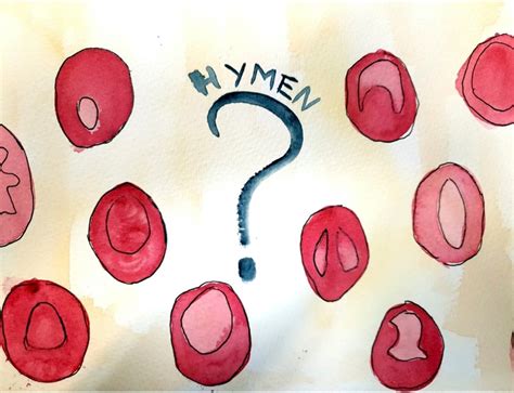 Myths Of Virginity And Hymens A Response To Tis Revelations Laura Stewart Liberty