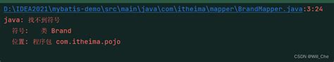 使用mybatis中，mapper接口找不到对应的pojo层的类 java pojo里面的实体 在mapper里面无法应用 csdn博客