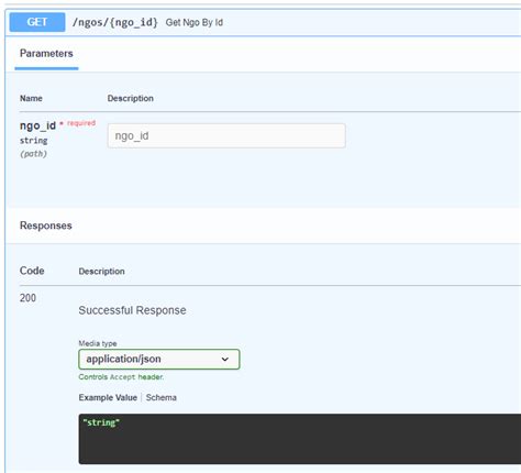 Add Custom Example Value And Schema In The Swagger Documentation For A