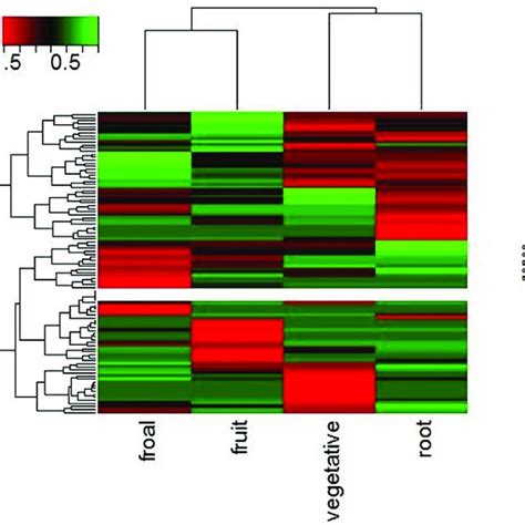 Clusters Of Expression Levels Of The Candidate Genes In The Four