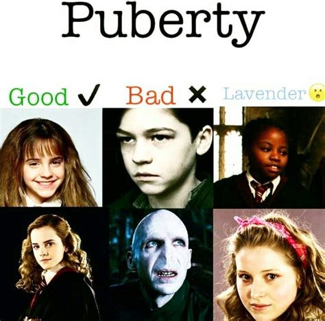 Pin De Fiurudelusalentu En Randommmm Harry Potter Gracioso Películas De Harry Potter Memes