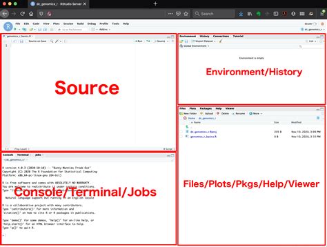 Intro To R And RStudio For Genomics All Images