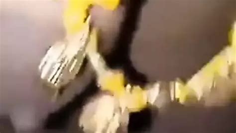 Tamil Mahi Tia Passeio Quente Com Marido Caseiro Xhamster