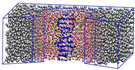 Molecular Dynamics Simulation Of High Density DNA Arrays