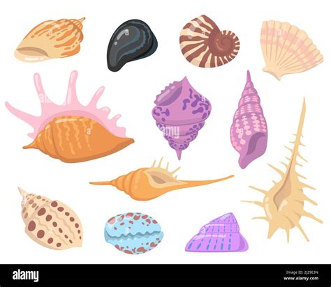 Cartoon Seashells Stock Vector Images Alamy