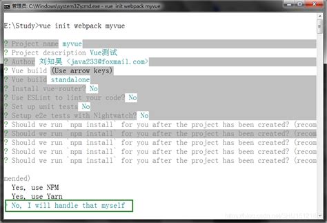 【vue js学习笔记】9：搭建vue cli脚手架并创建vue项目 在webstorm中创建vue项目 vue cli4在webstorm中创建的项目没法删除 csdn博客