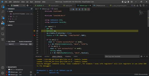 Windows下使用vscode远程debug Leveldbleveldb使用 Windows Csdn博客