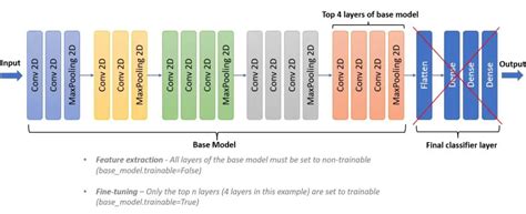transfer learning for image classification with tensorflow python simplified