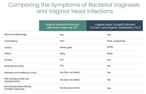 How Can You Tell The Difference Between A Yeast And A Bacterial Infect