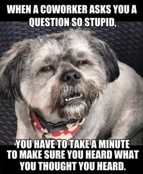 49 Of The Funniest Coworker Memes Ever Work Humor Work Memes Funny Coworker Memes