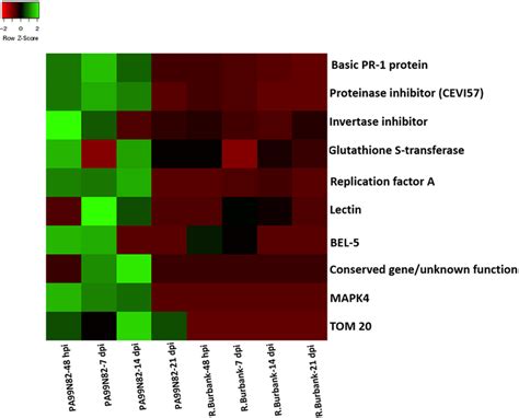 Heat Map Showing The Expression Pattern FPKM Of All Genes Across All