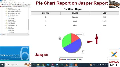 How To Create Pie Chart Report In Jasper Report Jasper Report Server