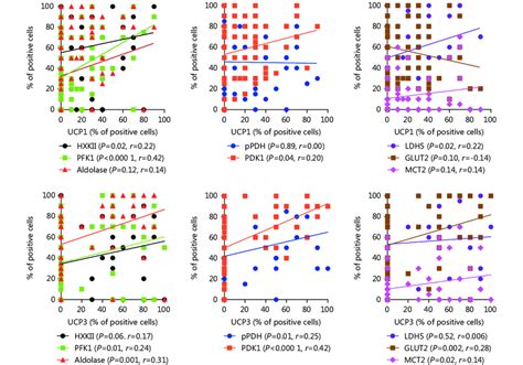 figure s2 linear regression analysis plots of the percentage of ucp download scientific diagram