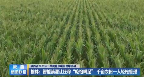 陕西省2023年二季度重点项目观摩活动榆林 延安 陕西网络广播电视台