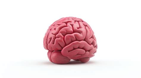 Premium Photo 3d Illustration Of A Human Brain The Brain Is The Most Important Organ In The