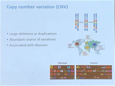 dna copy number profiling from bulk tissue to single cells weiya s work yard