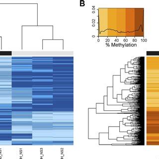 Heatmaps Showing The Hierarchical Clustering Of DMCs With Similar