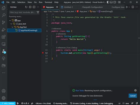 Tests Cannot Be Launched Issue 1481 Microsoft Vscode Java Test