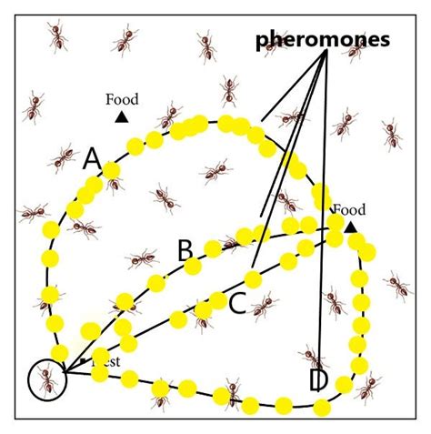 ant colony optimization an overview towards ai