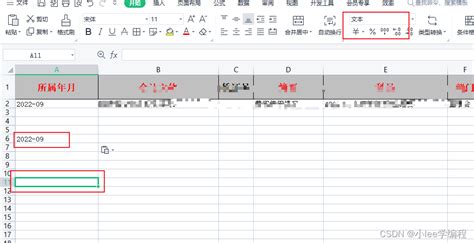 java easyexcel导出excel设置单元格为文本格式（含代码） easyexcel设置列为文本 csdn博客