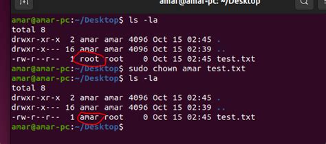 How To Change File And Directories Ownership In Linux Amar IT Tech