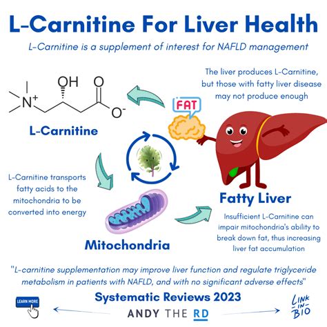 L Carnitine For Liver Health 1 Andy The RD