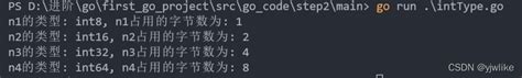 golang 中的基本数据类型 golang bool b int d csdn博客