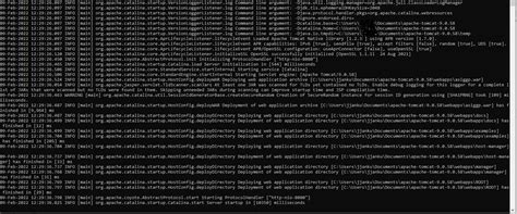 java spring boot application stuck at info [main] org apache catalina startup catalina start