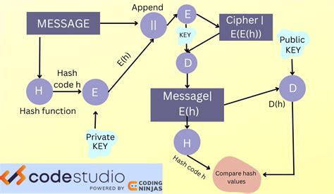 hash functions and data integrity in cryptography coding ninjas
