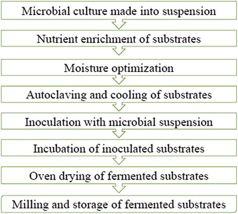 Schematic Representation Of Steps Involved In Solid State Fermentation Download Scientific