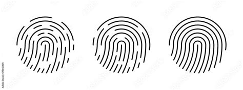 vector flat fingerprints icon set touch id personal identification thumbprint icon collection