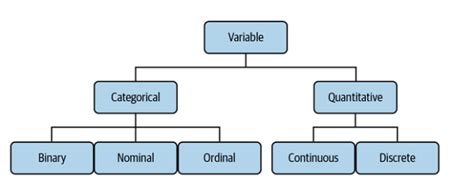 data variables types and uses in data science analytics yogi