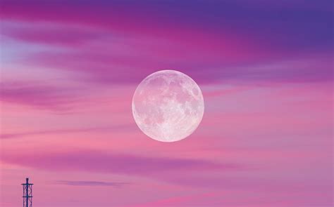 Luna Rosa 2022 Qué Es Y Cómo Verla Telediario México