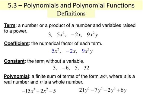Polynomial Function Definition