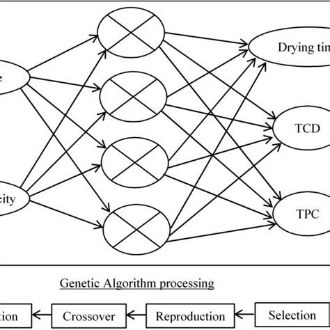 schematic illustration of multi‐layered feed forward artificial neural download scientific