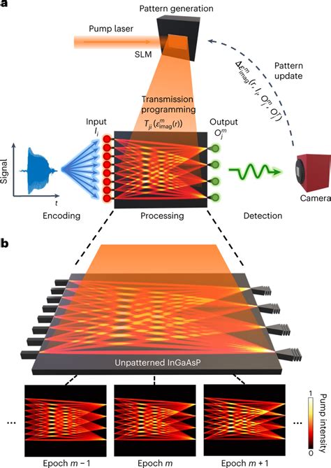 lithography free integrated photonic processor for on chip signal download scientific diagram