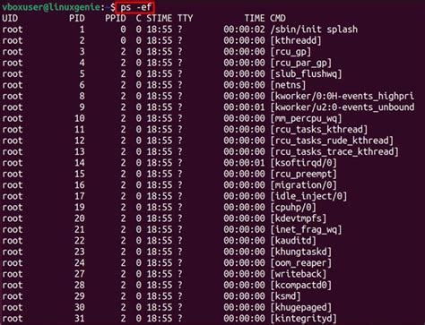 Ps Ef Command In Linux Explained Linux Genie