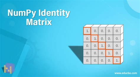 how to create numpy identity matrix in python data sc