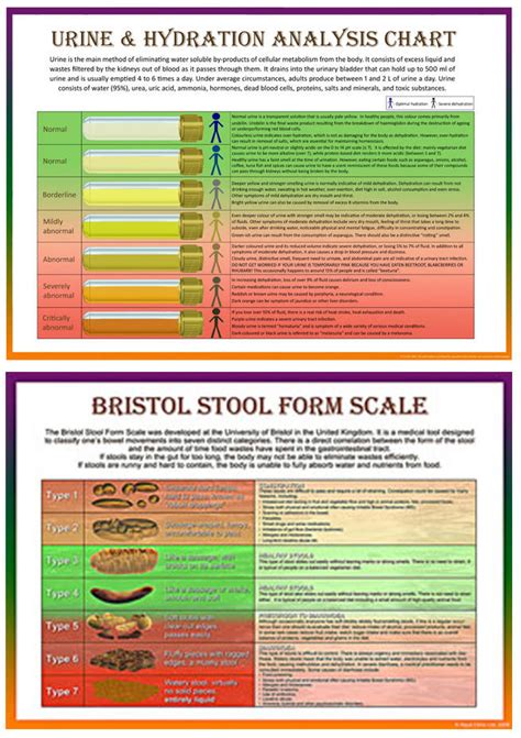 Urine Hydration Analysis Chart Bristol Stool Form Scale Chart Set