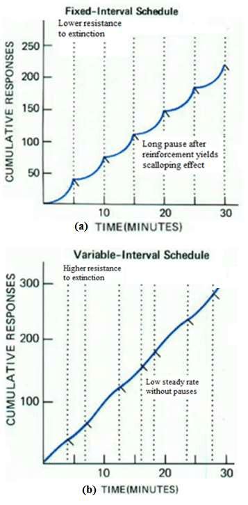 a skinner fixed and b variable interval schedule download scientific diagram