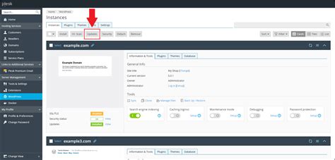 how to manage automatic wordpress updates for all the existing instances support cases from