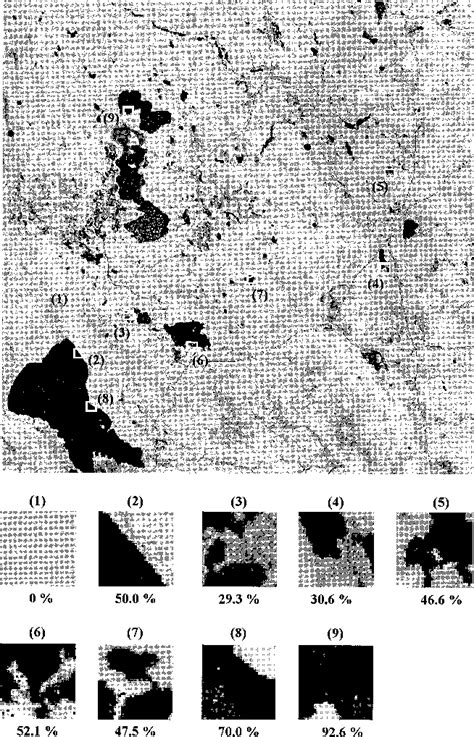 figure 3 from spatial scaling of a remotely sensed surface parameter by contexture semantic