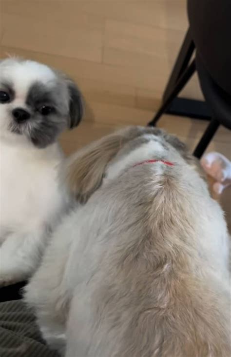 블라인드 블라블라 아니 자네는 얼굴이 왜