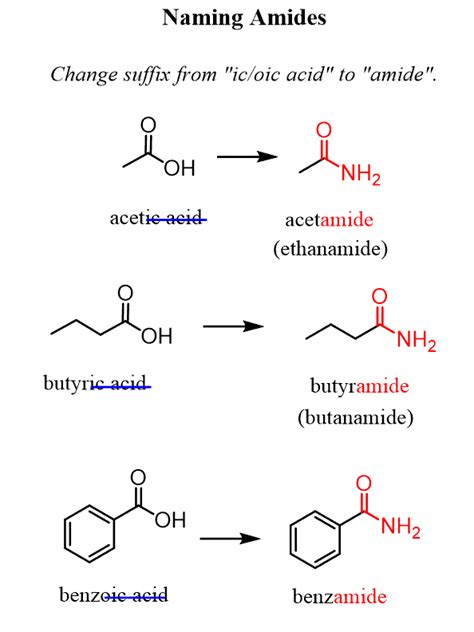 Amine Vs Amide Structure