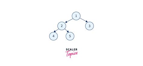 Tree Traversal In Data Structure Scaler Topics