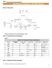 Lab 5 Docx Name Qualitative Analysis Lab Worksheet Part A Flowchart