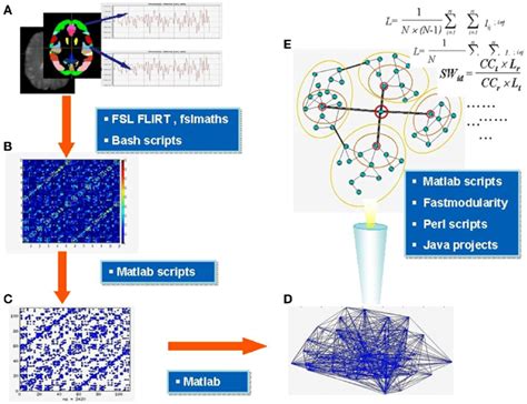 major steps of functional connectivity analysis parcellation of the download scientific
